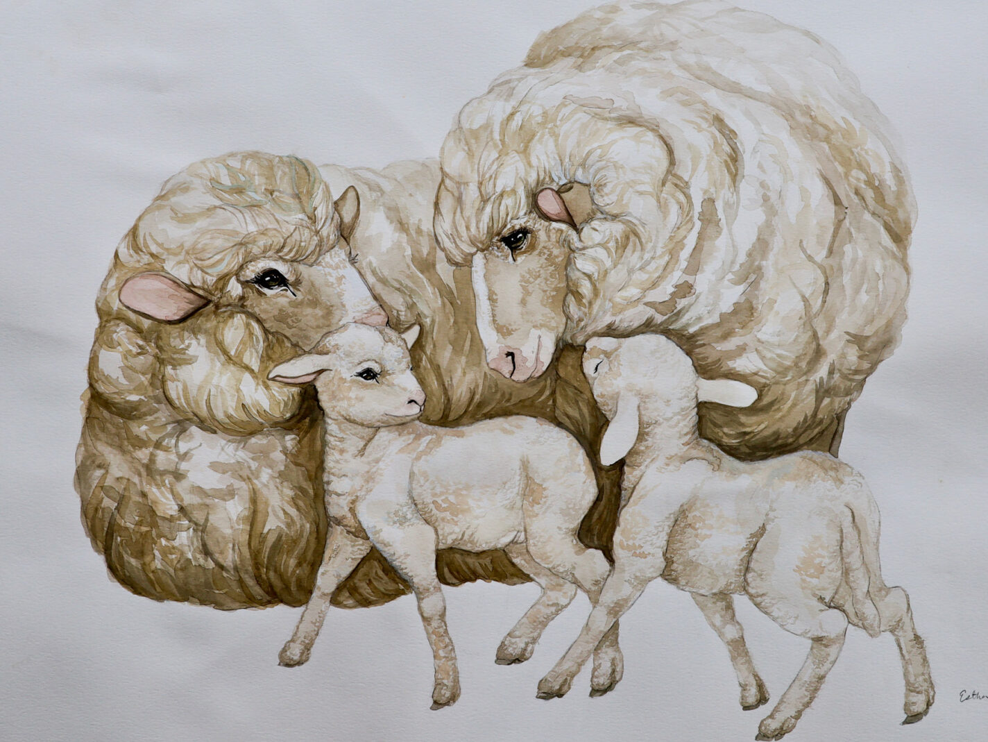 Visio Divina - Pillar Church